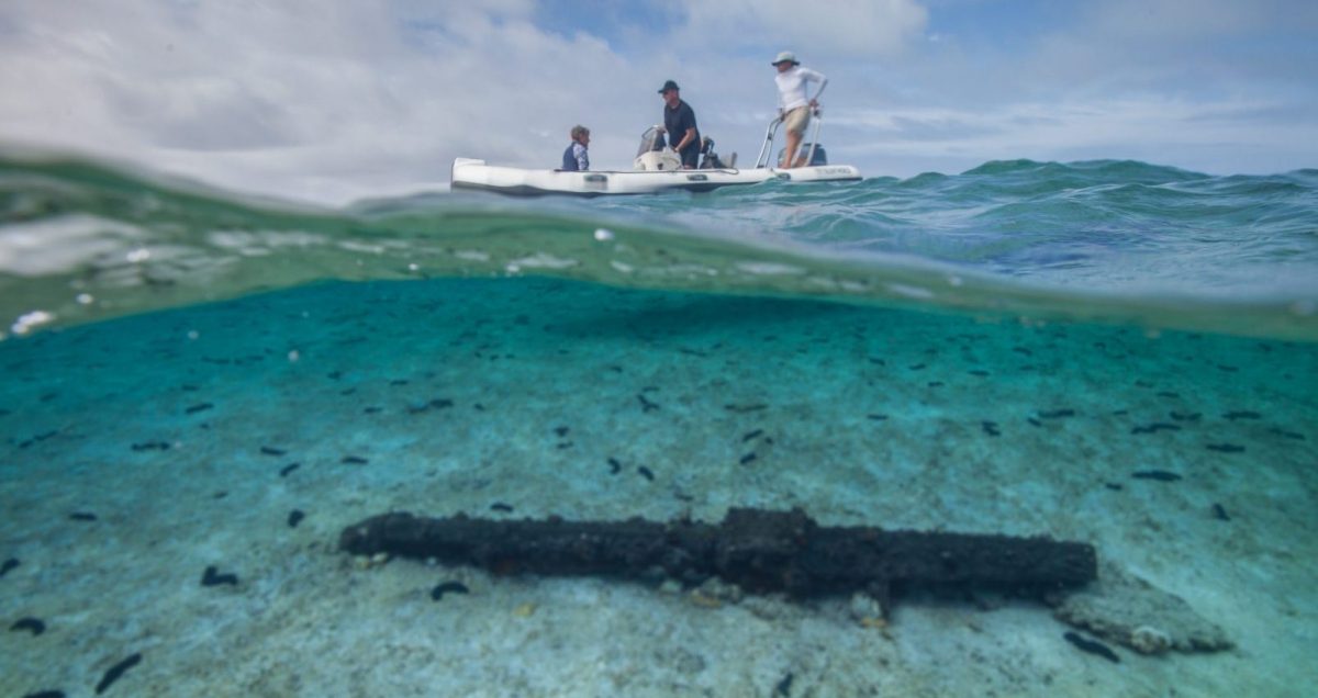 Silentworld Inaugural Australian Voyager Award | Ocean Alliance