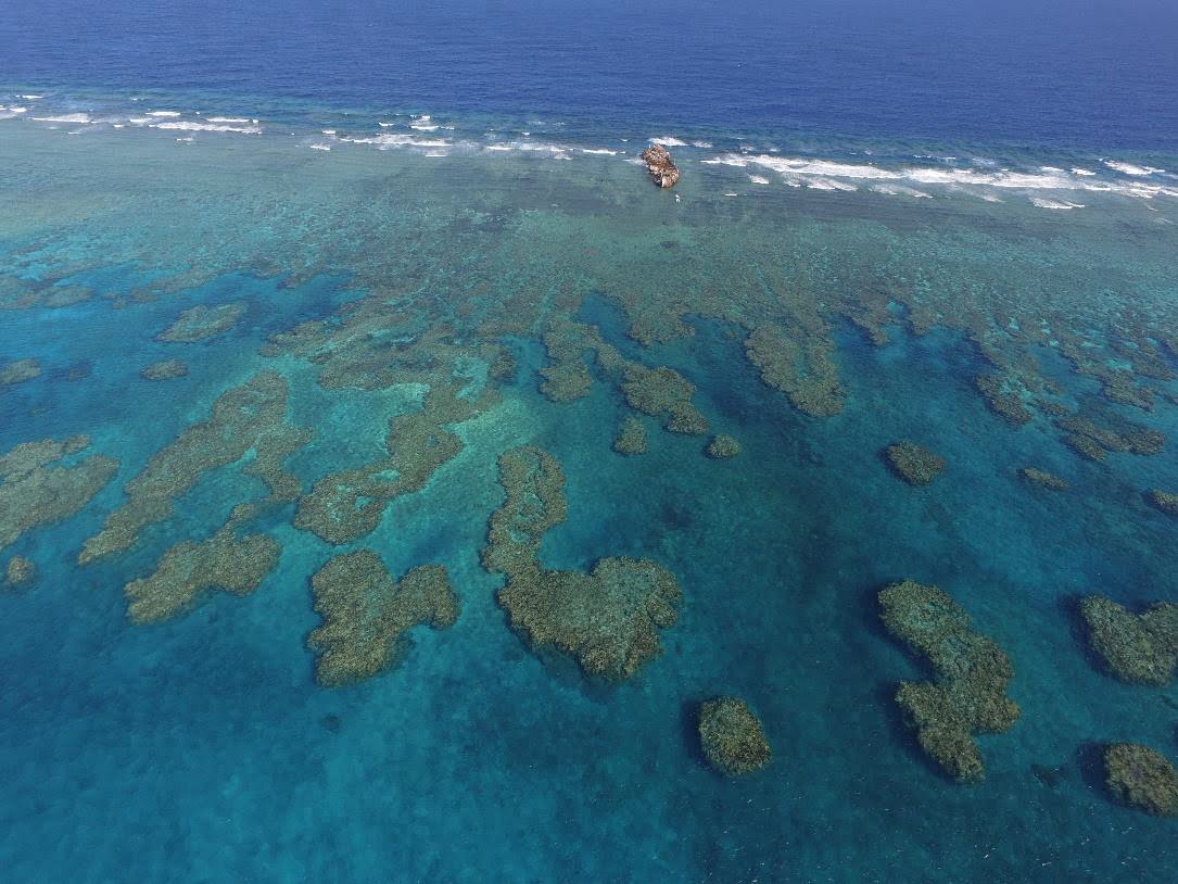 Modern-day yacht explorers | Ocean Alliance